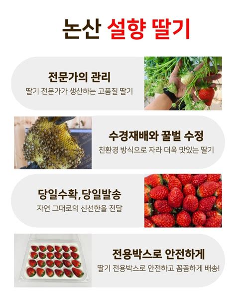 논산 설향 딸기 당도 13브릭스 이상 29000원부터 서울특별시 강서구 화곡동 비즈프로필