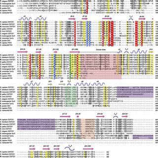 Structure Based Sequence Alignment Structure Based Sequence Alignment Download Scientific