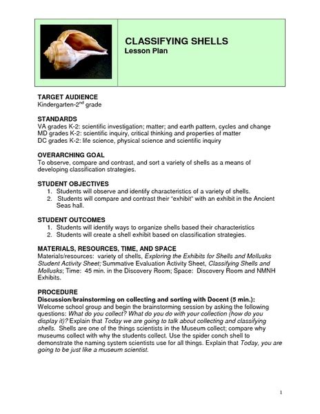 Classifying Shells Lesson Plan For Kindergarten 2nd Grade Lesson Planet