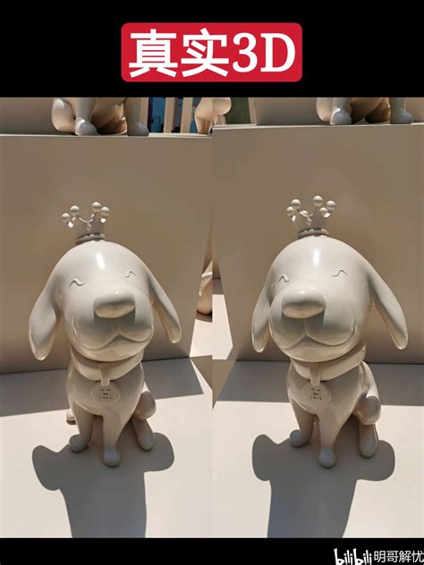 科普一下4种裸眼3d图！ 哔哩哔哩