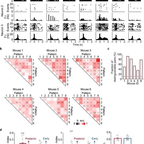 Different Cortical Activity Patterns Associated With Distinct Download Scientific Diagram