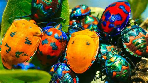 The New Stack On Linkedin Ai Code Generation 6 Faqs For Developers