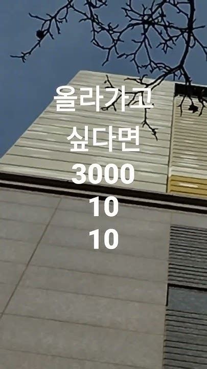 쏙쏙 빼빼살 쑥쑥 집중력 빌딩등반 도전 환영 밧줄로프로 살빼기로프로밧줄타기상하좌우이동빌딩외벽스포츠 빌딩레포츠 밧줄다이어트 Youtube