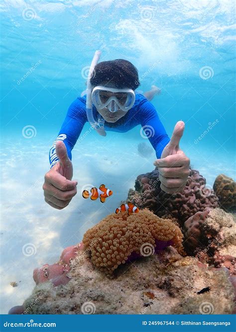 Turisti Che Si Tuffano Con Snorkel Per Vedere I Nemo Pesce Bello E Corallo Nellisola Di