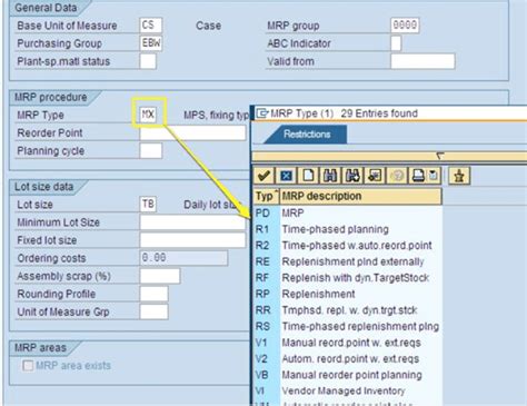 How To Best Understand The Mrp Type And The Snp And Erp Location Interaction Brightwork