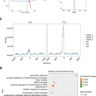 Poly A Site Sequencing Revealed Alternative Polyadenylation Events In Download Scientific