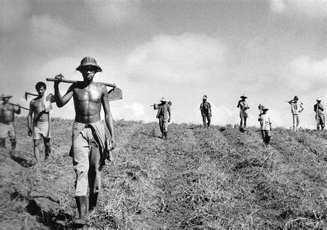 Trending Stories Published On Viaje De Un Obrero Golondrina Medium