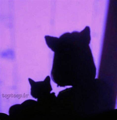 عکس پروفایل دخترونه بنفش بدون متن کیوت و زیبا تــــــــوپ تـــــــــاپ