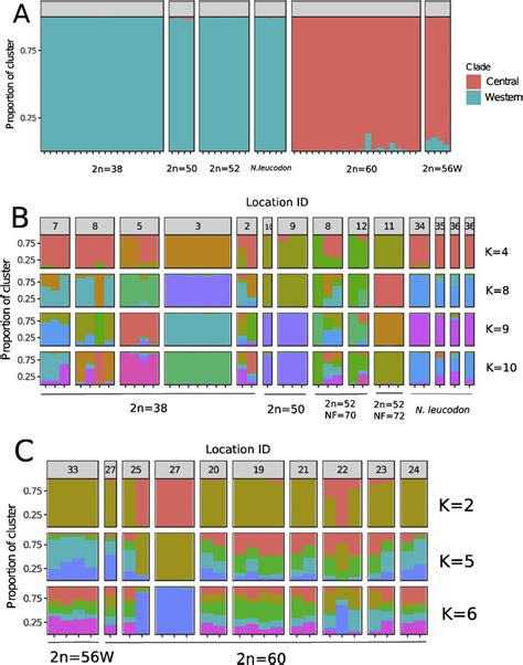 Bayesian Clustering Of Individual Microsatellite Genotypes A The