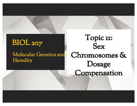 Biol 207 Final Exam Notes Topic 11 Sex Chromosomes And Determination