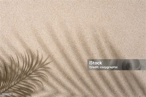 갈색 미적 야자수 잎은 모래 배경 질감 복사 공간 최소한의 여름 개념에 그림자를 드리운다 0명에 대한 스톡 사진 및 기타 이미지 Istock