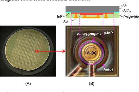 Figure From Backside Optical I O Module For Si Photonics Integrated With Electrical ICs Using
