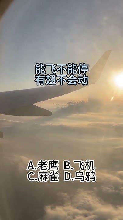 猜谜 儿童 猜谜语 分享 熱門 Youtube