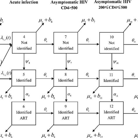 Compartmental Structure Of The Model Download Scientific Diagram