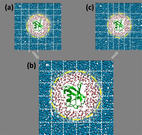 Adress Simulation Of An Atomistic Protein Its Atomistic Hydration Download Scientific Diagram
