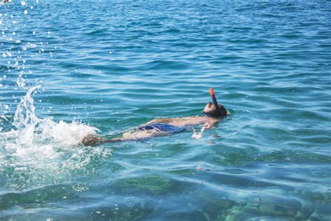 Deteksi Object Detection Dataset And Pre Trained Model By Pens