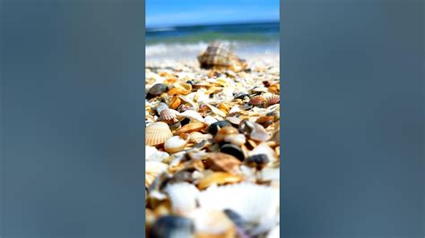 ලස්සන මුහුදු වෙරලක අතරමං වෙන්න කවුද අකමැති🥰 Trending Travelvlog Travel Trendingshorts Beach