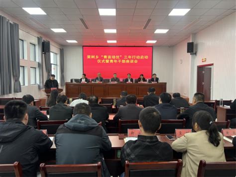 棠树乡：举办“青苗培优”三年行动启动仪式暨青年干部座谈会舒城县人民政府