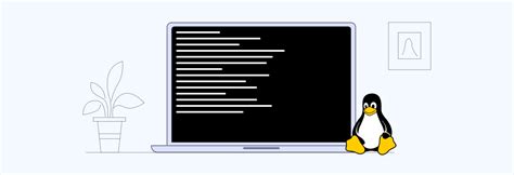 How To Set Up A Vpn On Linux Veepn Blog