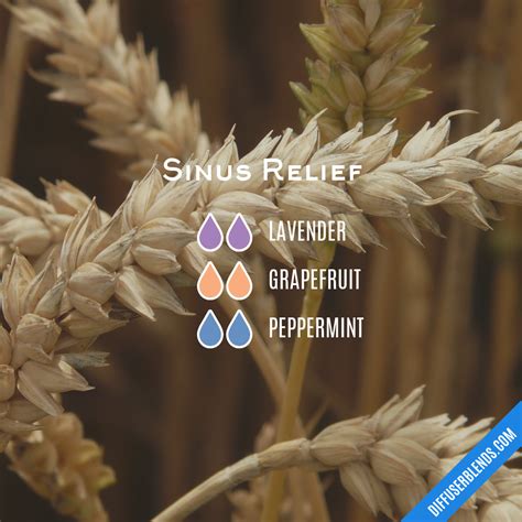 Sinus Relief DiffuserBlends Com