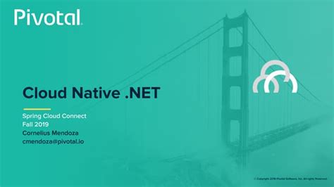 Cloud Native Net