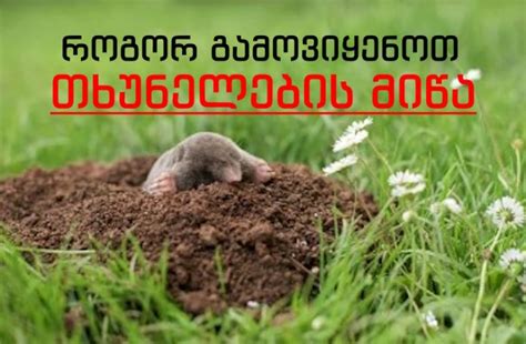 თხუნელების მიწა როგორ გამოვიყენოთ იგი