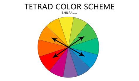 Types Of Color Schemes Color Design Basics Every Fashionista Should Know