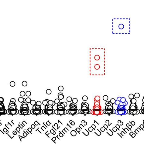 Relative Gene Expression In All Samples Gene Expression Levels Were