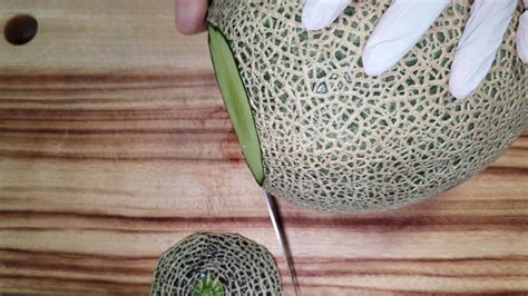 메론 자르는법 메론 후숙 및 보관법