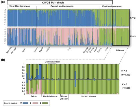 Inferred Population Structure Based On Twelve Nuclear Ssr Using Download Scientific Diagram