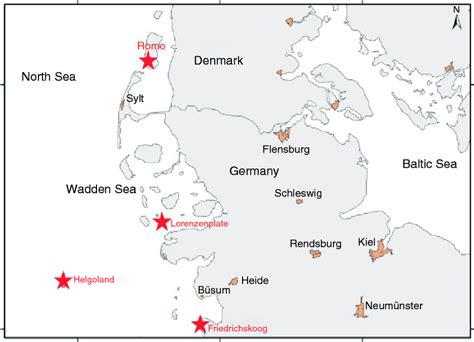 Sampling Stations Of The Seals Download Scientific Diagram
