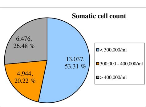 Causes Of High Somatic Cell Count In Dairy Cows All About Cow Photos