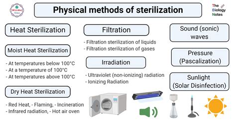 Home Microbiology And Sterilization Mbsl 601 Mit Libguides At
