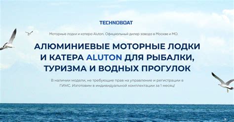 Моторные лодки и катера в Москве | TechnoBoat