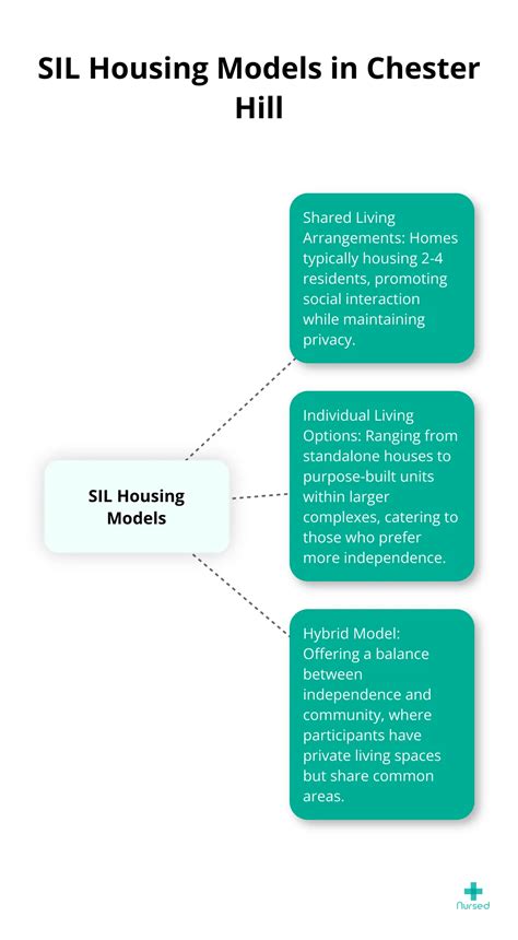 Sil Ndis Options In Chester Hill Nursed