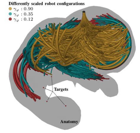 C Concentric Tube Robot Kinematics Library Rvim