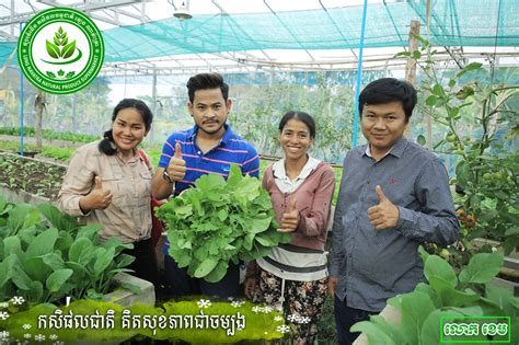 តារា ចម្រៀង ខេម ជំរុញ លើក ទឹក ចិត្ត ពលរដ្ឋ លើ ការ ដាំដុះ បន្លែ ផ្លែ ឈើ ដោយ មិន ប្រើប្រាស់ គីមី