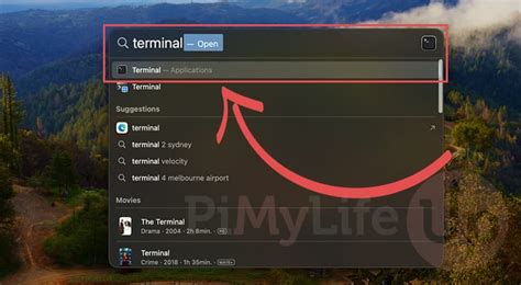 how to kill a process on macos pi my life up