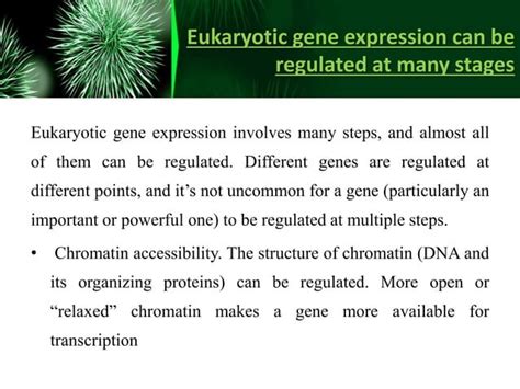 Eukaryotic Gene Expression Pptx