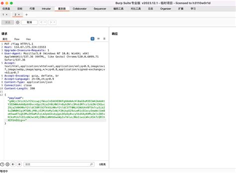 Bugku Ctf Python Pickle Unserializer（python的反序列，pickle） 知乎