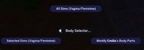 Body Selector Random Sims Option Missing Technical Support Wickedwhims Loverslab