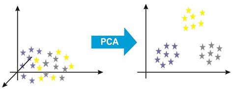 Workflow Of Pca To Summarize Pcas Goal Is To Decrease The Number Of