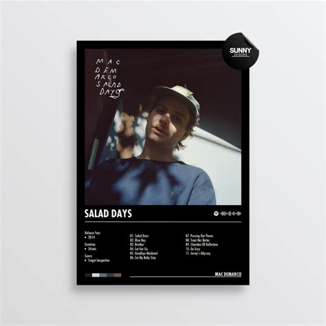 Mac Demarco Salad Days Album Cover Poster Sunny Designs Posters