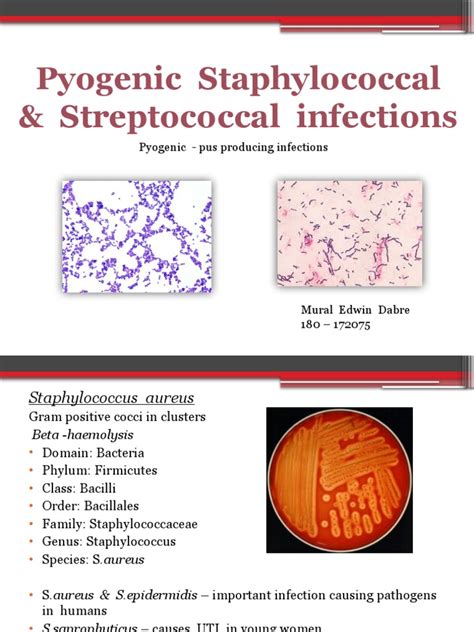 Pyogenic Staphylococcal And Streptococcal Infections Pdf Staphylococcus Staphylococcus Aureus