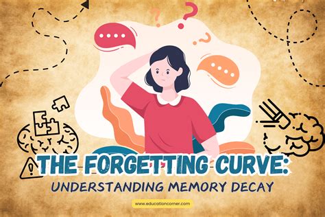 The Forgetting Curve Explained Understanding Memory Decay Education