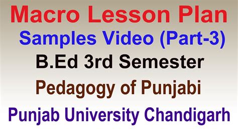 Macro Lesson Plan Pedagogy Of Punjabi Bed 3rd Semester Punjab
