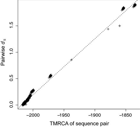 Saturation Pairwise Synonymous Distances With The Corresponding Time To