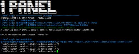 在线安装时，出现安装docker的报错 1panel 社区论坛 Fit2cloud 飞致云
