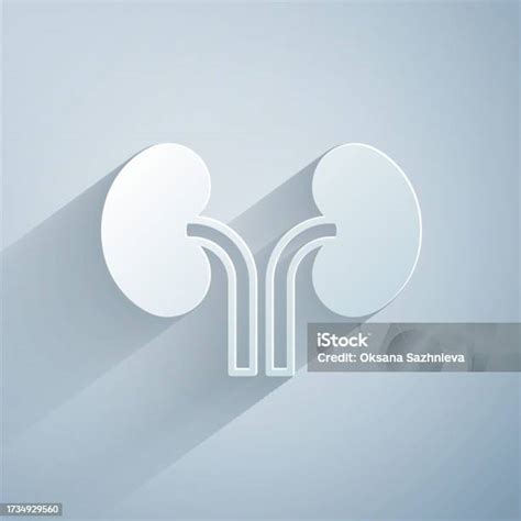 종이 는 회색 배경에 고립 된 인간의 신장 아이콘을 잘라 종이 아트 스타일 벡터 콩팥 내부 기관에 대한 스톡 벡터 아트 및 기타 이미지 콩팥 내부 기관 3차원 형태