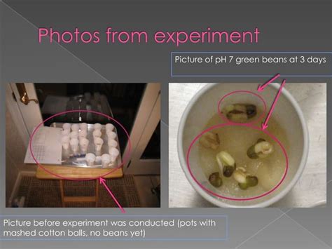 Powerpoint For Science Experiment PPTX